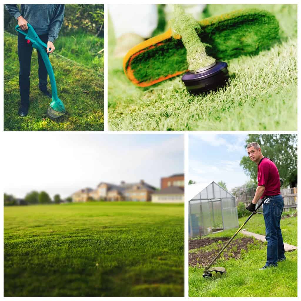 Harry Rufus | Top Tips and Ideas for your House and Garden