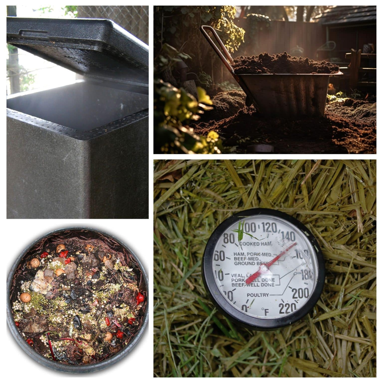 Harry Rufus | Top Tips and Ideas for your House and Garden